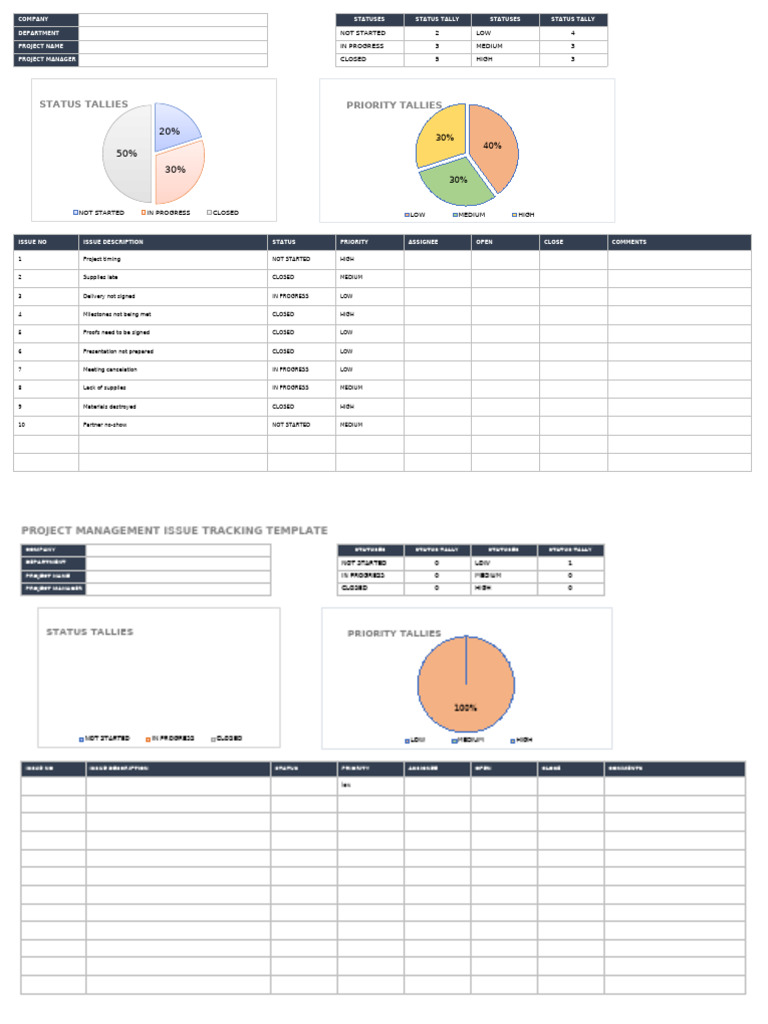 IC Project Management Issue Tracking Template 10636 | PDF