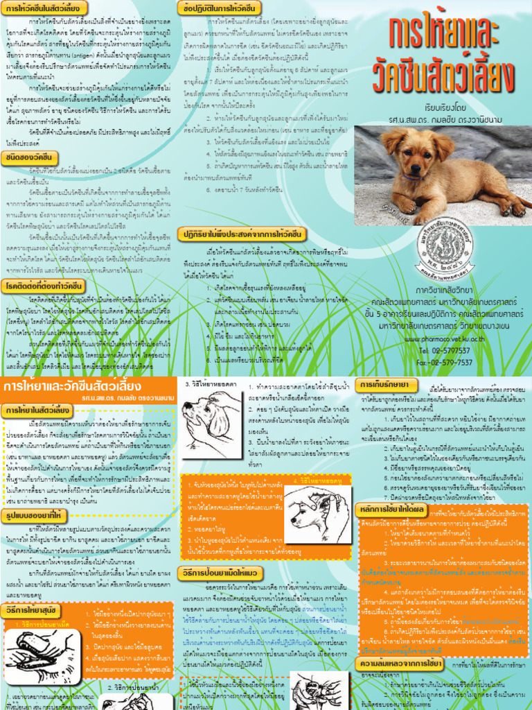 administration | PDF