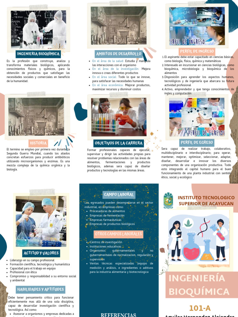 Triptico Ibq Equipo 6 | PDF