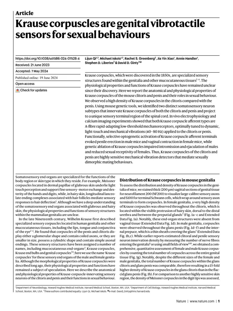 Krause corpuscles are genital vibrotactile sensors for sexual behaviours | PDF