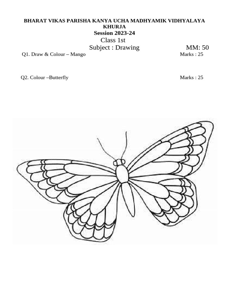 Class 1st Drawing Annual | PDF