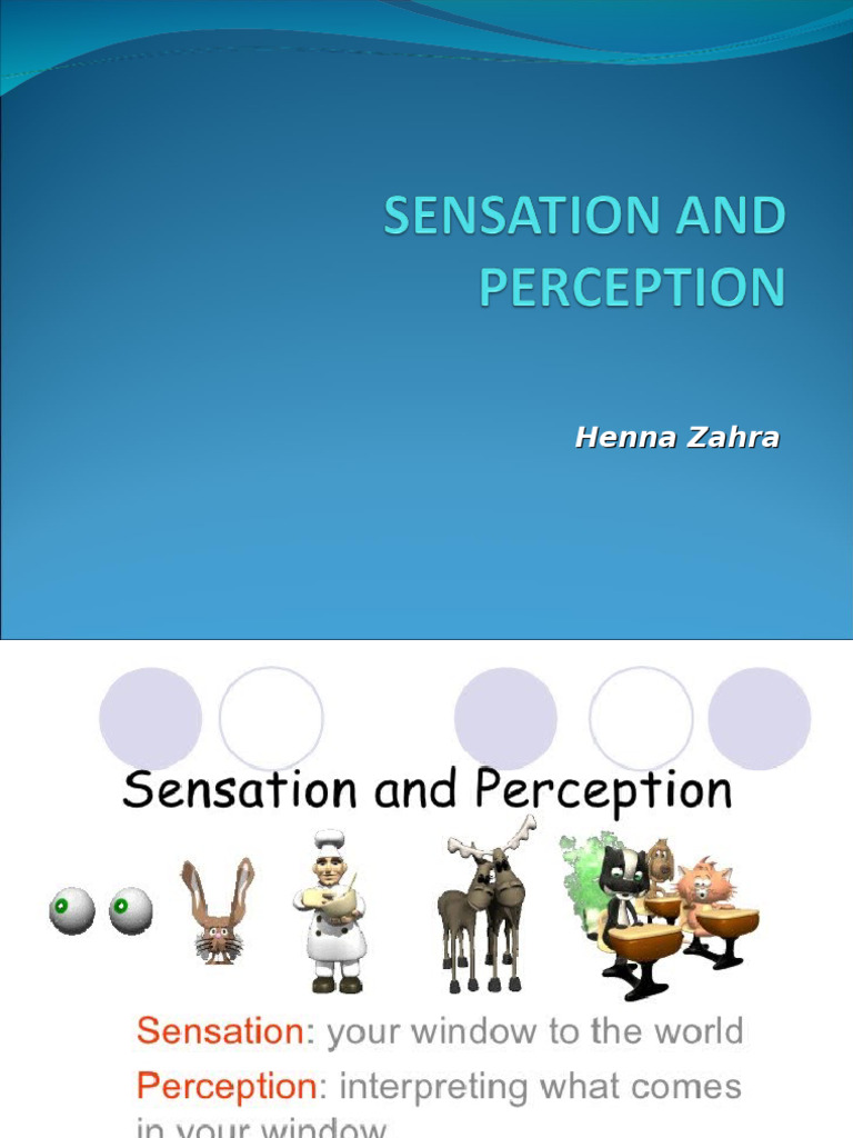 Lec 17 - Sensation - Perception | PDF