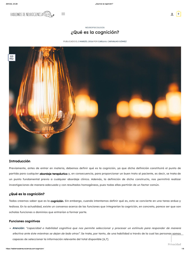 Definición y funciones de la cognición | PDF | Cognición | Memoria