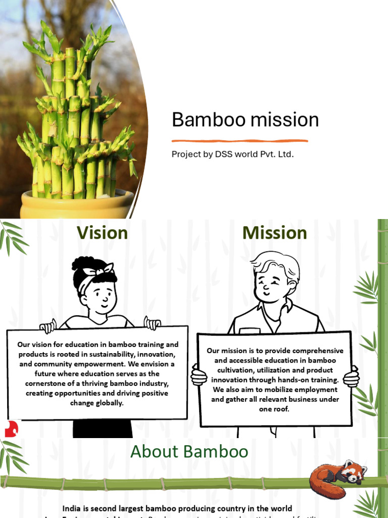 Bamboo Project Phase 3 | PDF