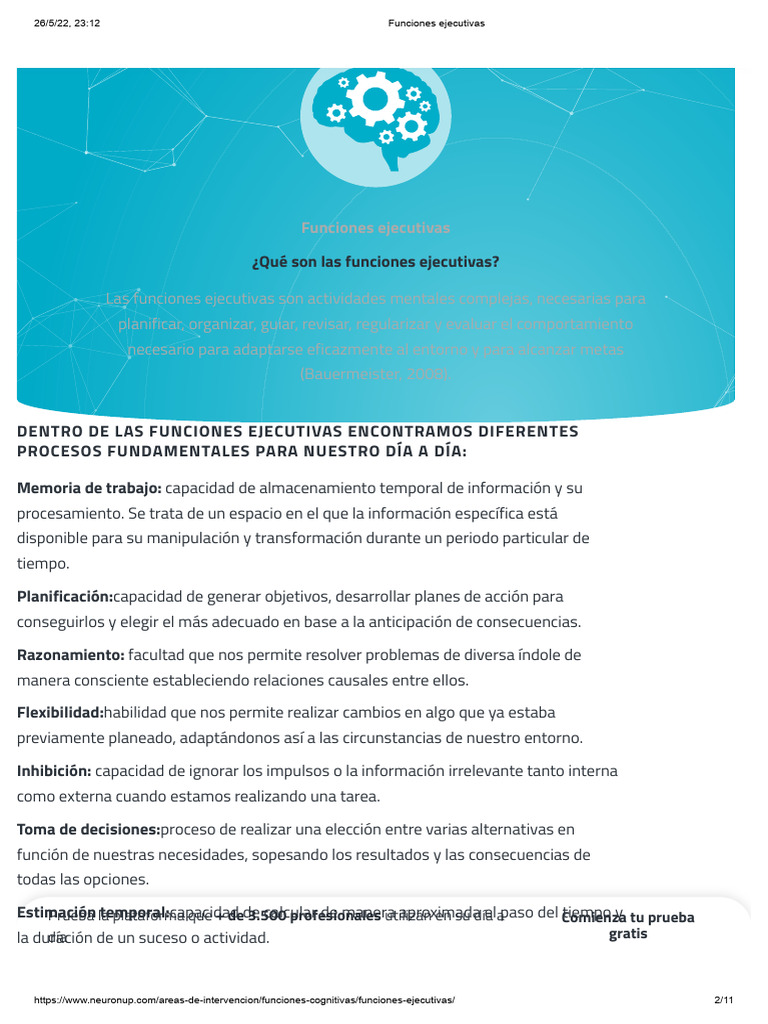 Funciones Ejecutivas | PDF