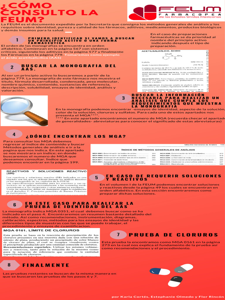 Como Consultar La FEUM | PDF