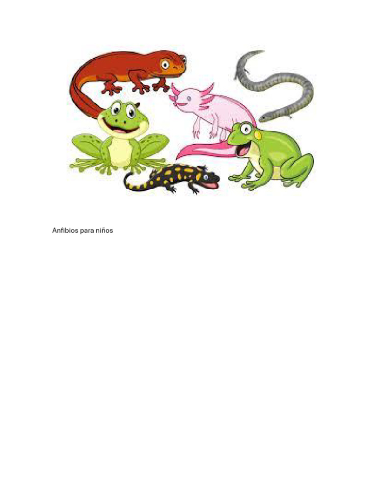 Anfibios: Guía Infantil Fascinante | PDF