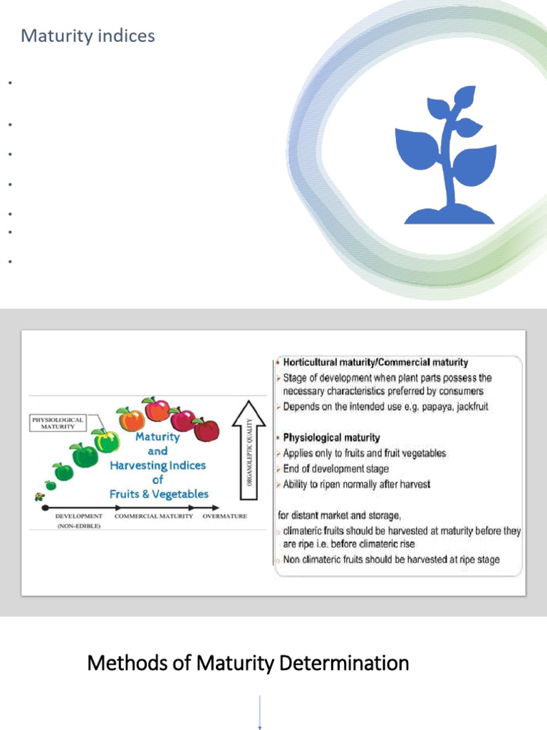 Maturity | PDF