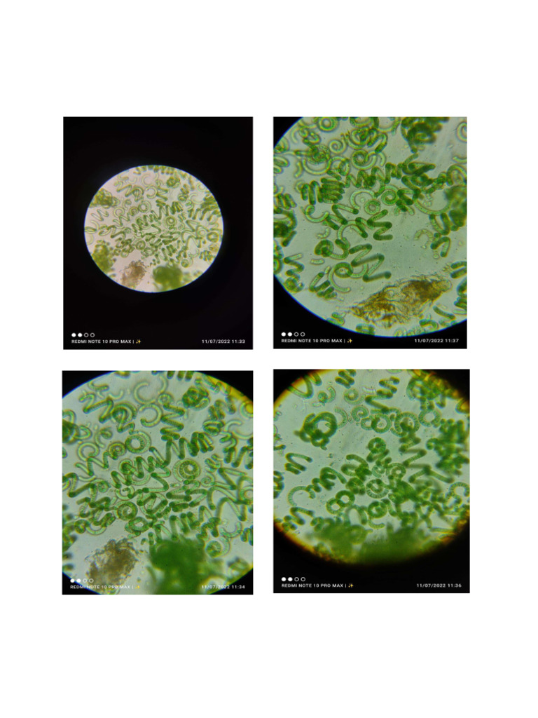 Bio Proj Kalai | PDF