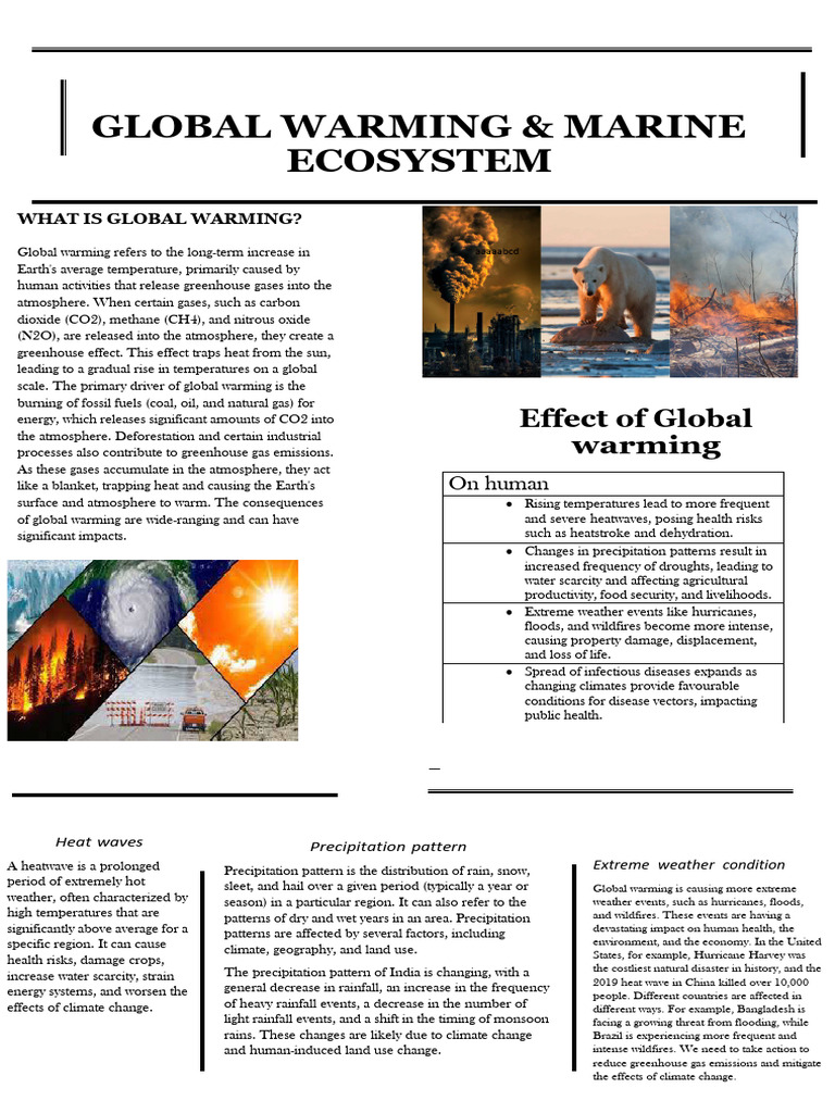 Global Warming | PDF
