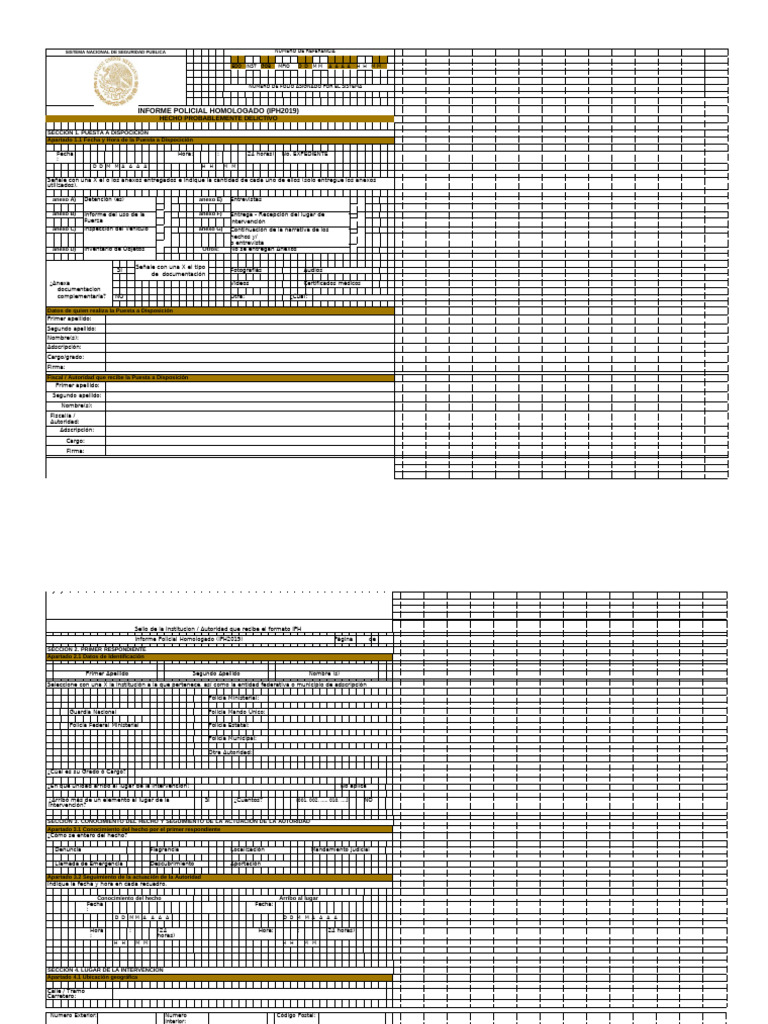 Documento de ?? ?? | PDF