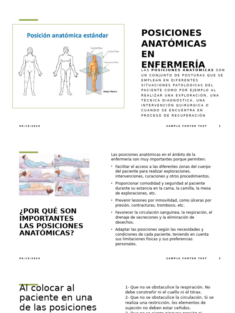 Posiciones Anatómicas en Enfermería | PDF | Términos anatómicos de ...
