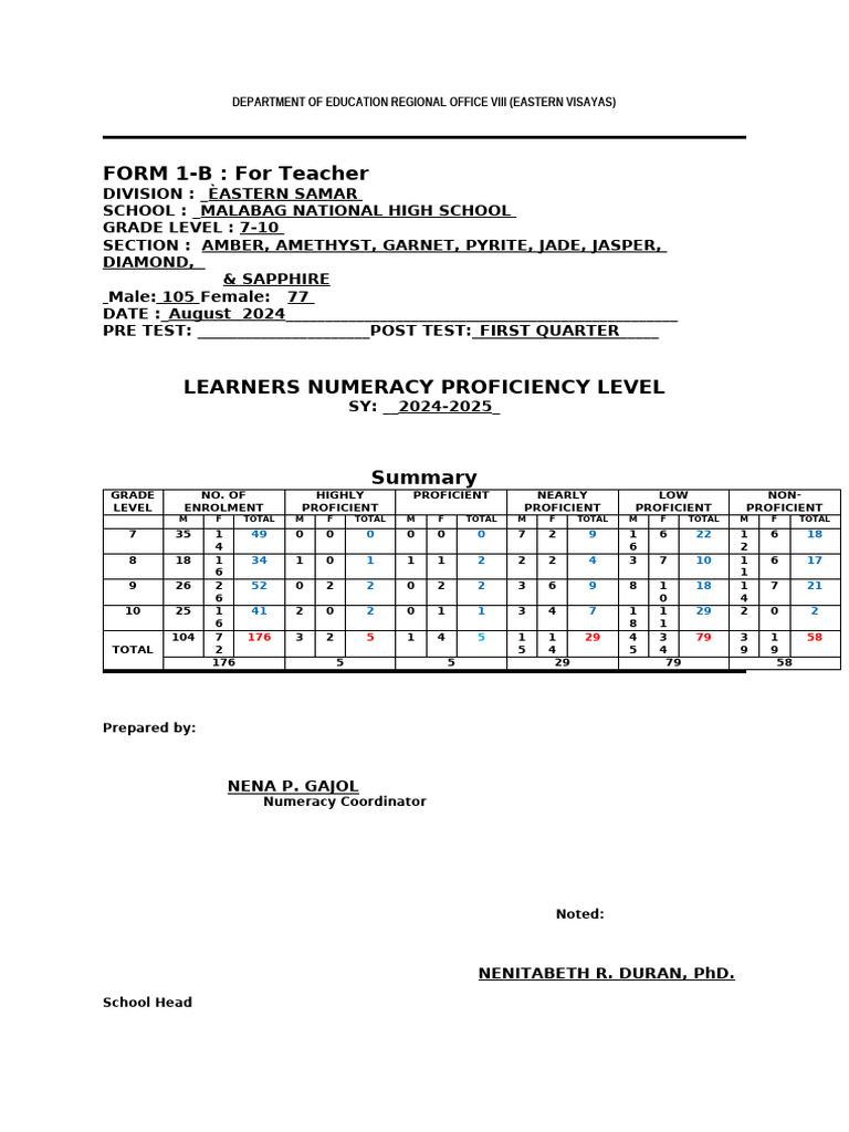 Numeracy Summary by Grade Level | PDF