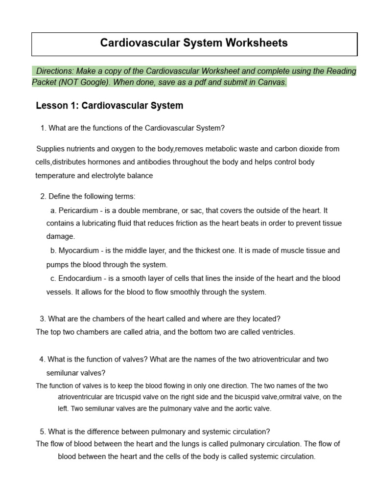 Cardiovascular Worksheets | PDF