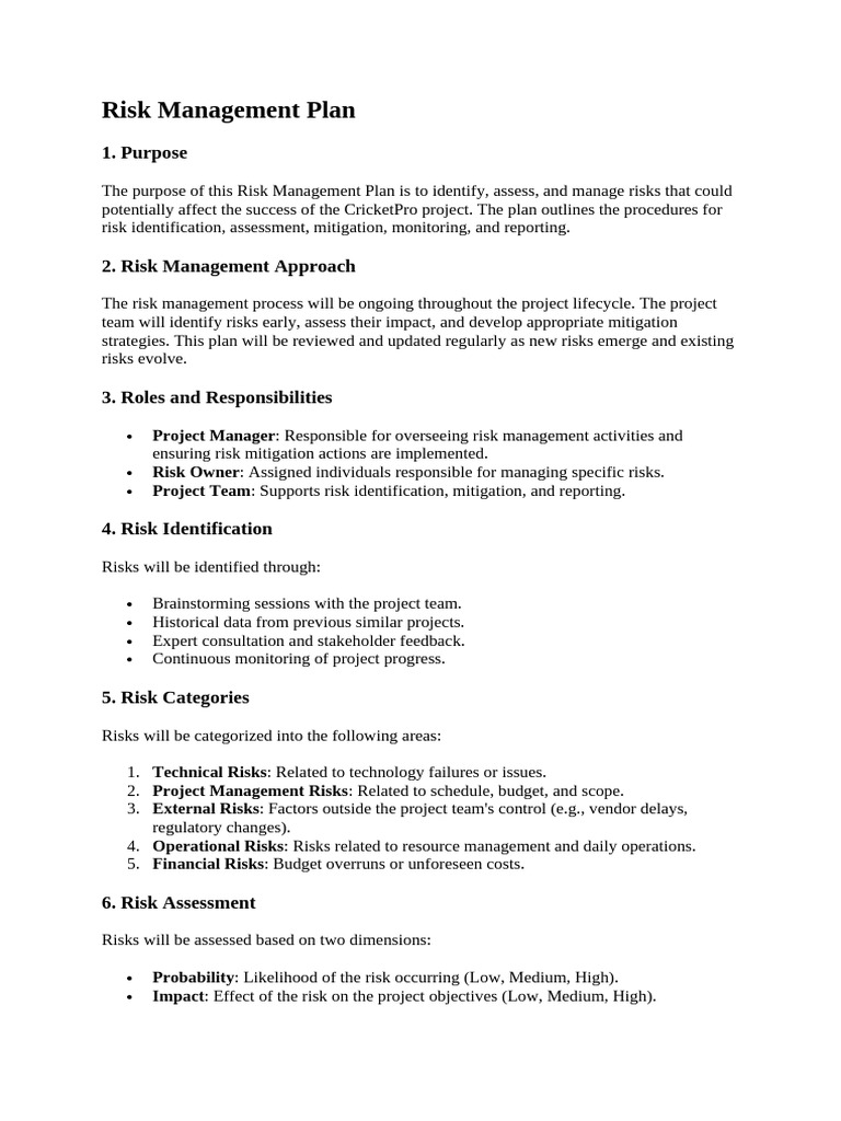 Risk Management Plan | PDF