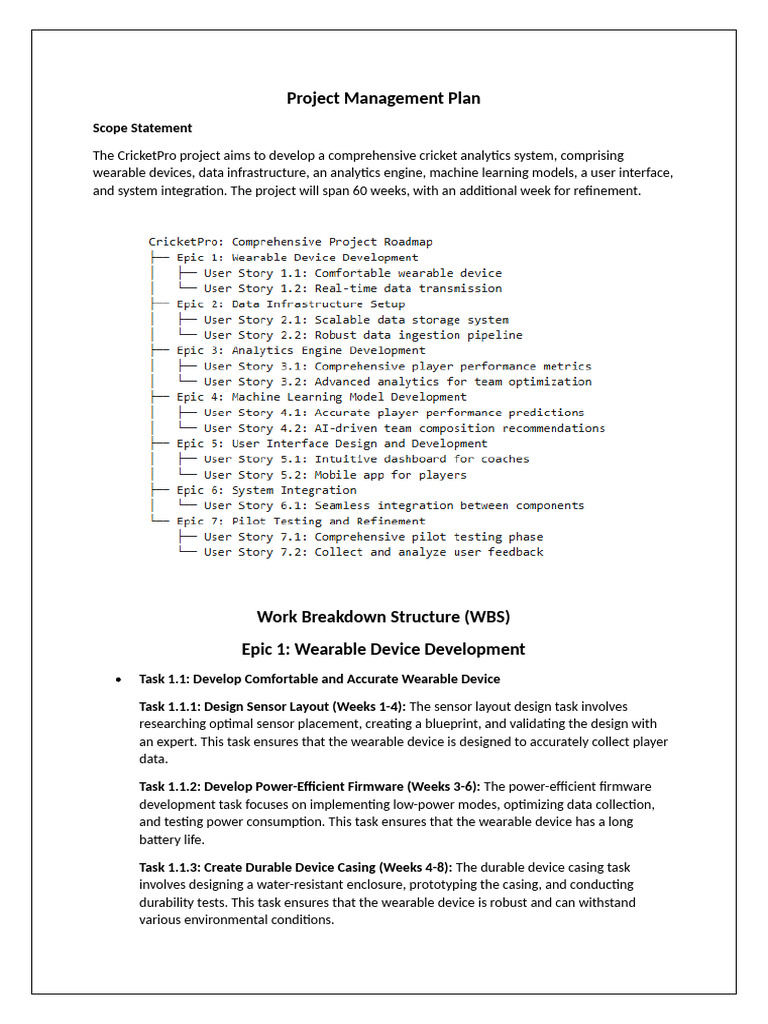 Project Management Plan | PDF