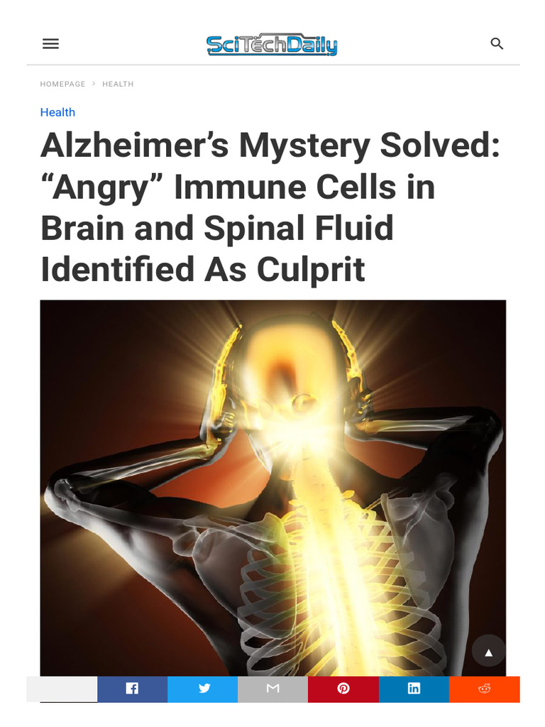 Alzheimer's Mystery Solved "Angry" Immune Cells I | PDF | Cerebrospinal ...