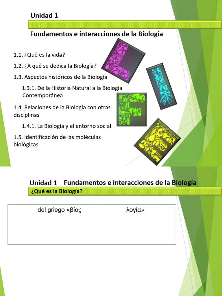 Unidad 1 YSU | PDF