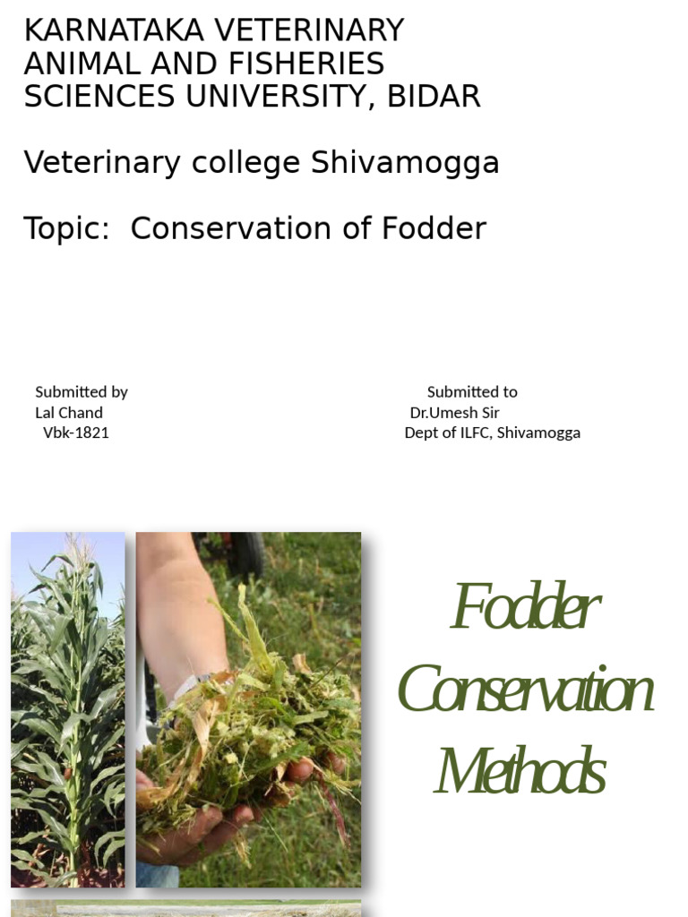 Fodder Conservation Methods | PDF