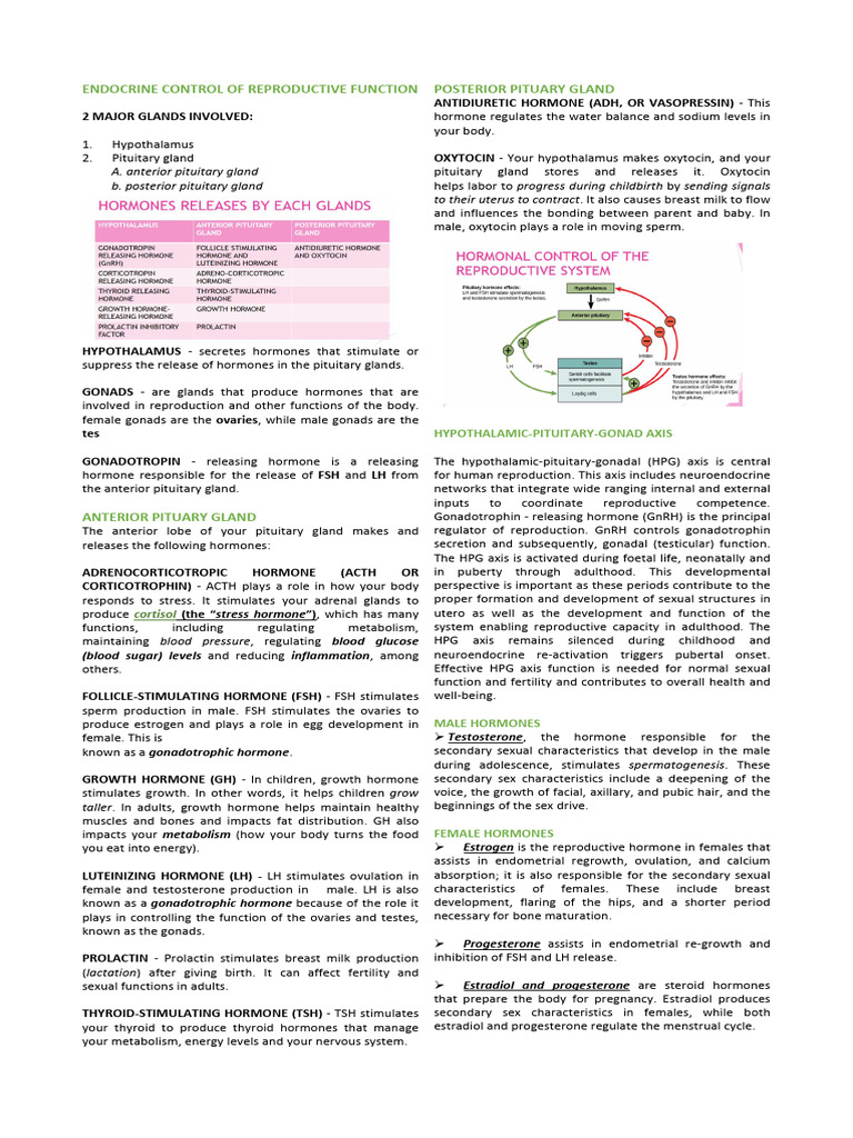 human reproduction notes | PDF