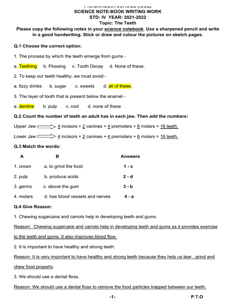 Grade 4_The Teeth-Notes 2021-2022 | PDF