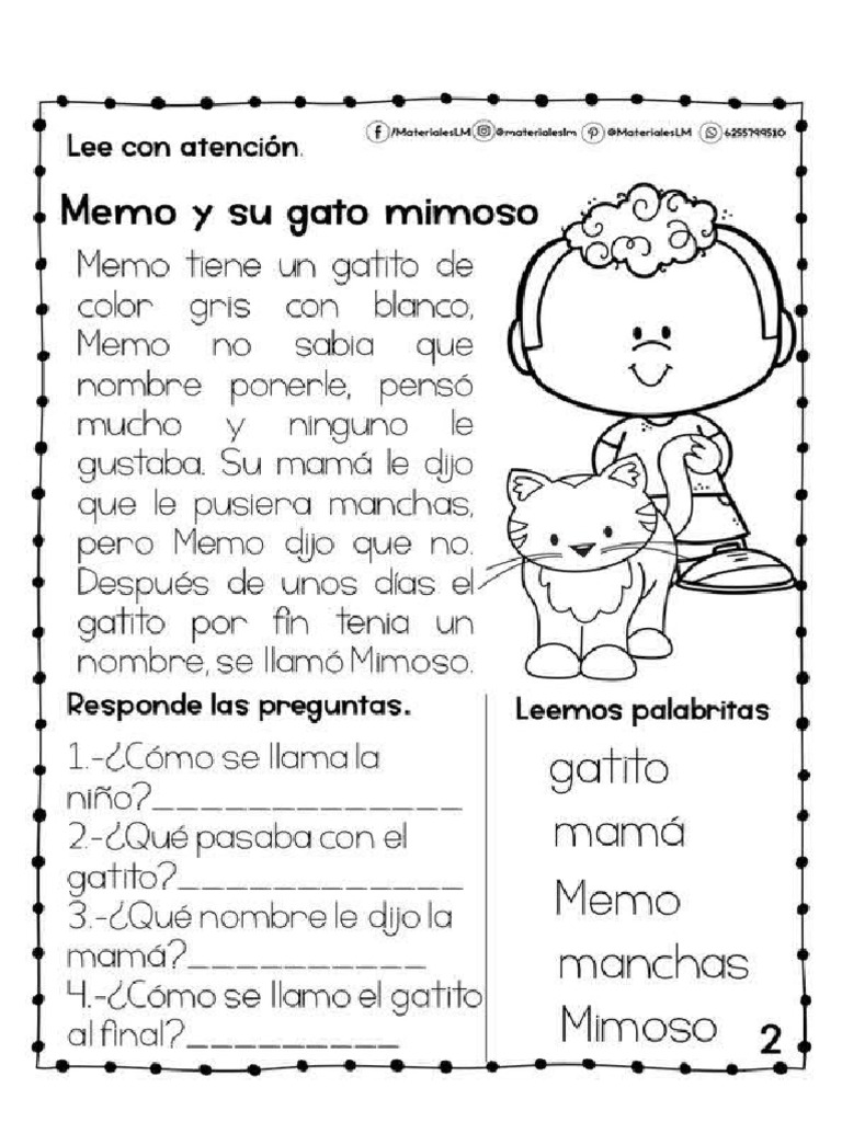 Gato Lectura | PDF