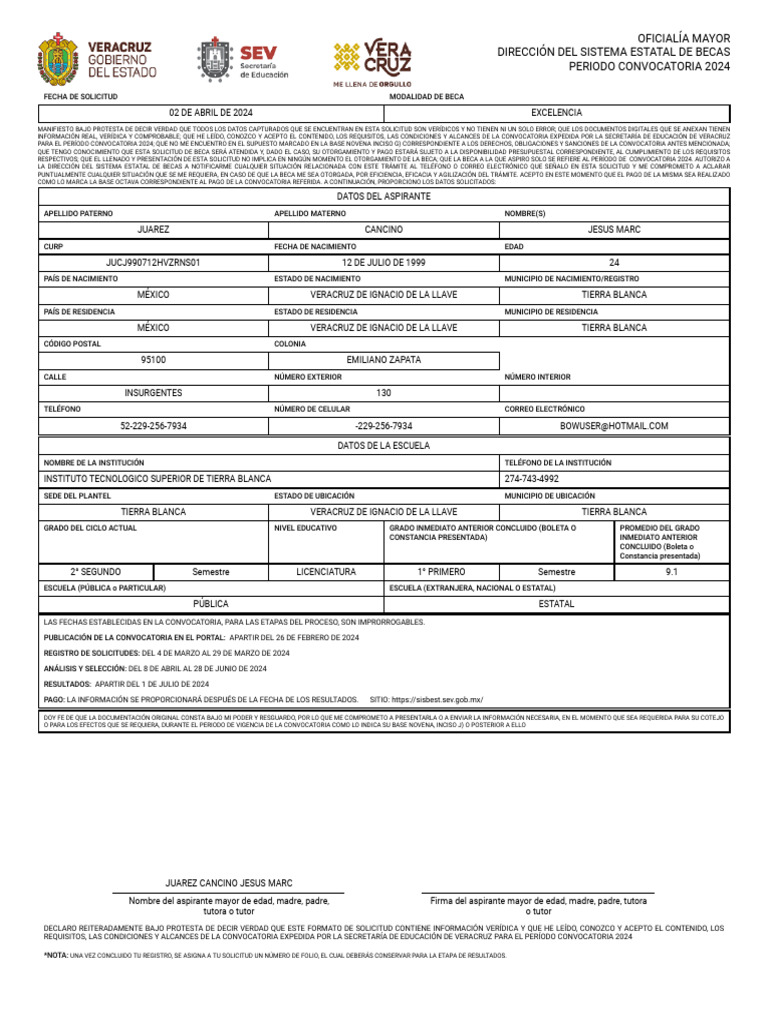 Solicitud Beca | PDF