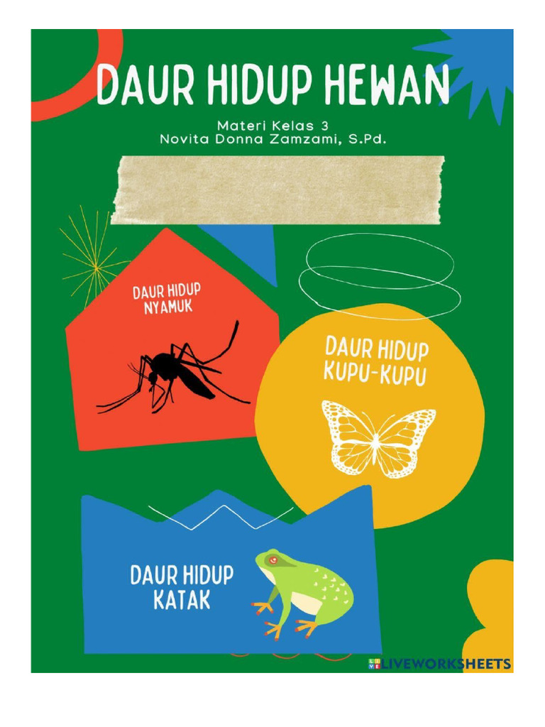 Metamorfosis Kupu2, Nyamuk Dan Belalang | PDF