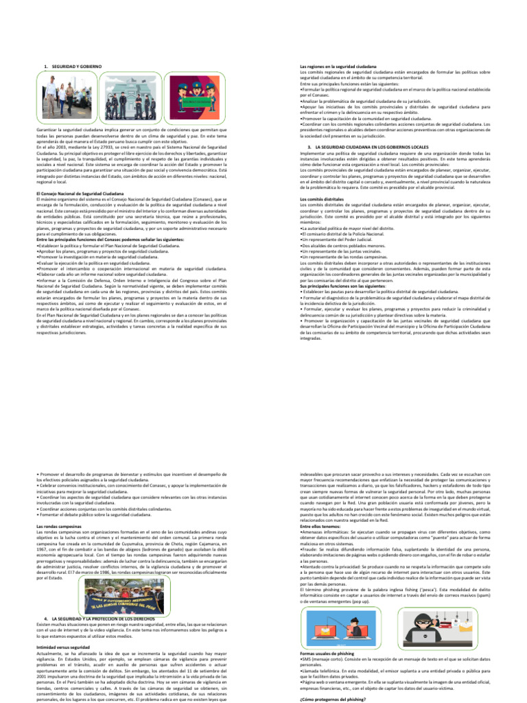 SEGURIDAD, GOBIERNO Y PROTECCION DE LOS DERECHOS DPCC 2 | PDF