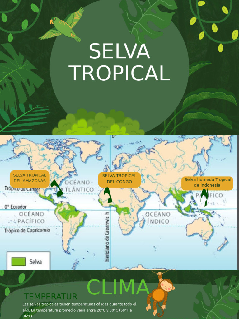 Selva Tropical | PDF