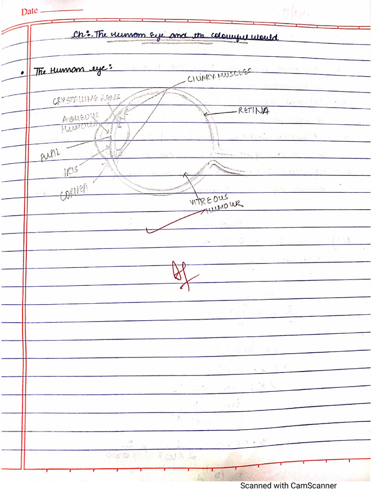 Human Eye and Its Defects | PDF