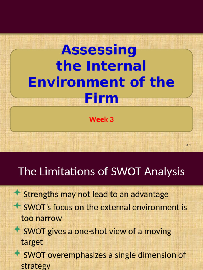 Week 3 Internal Environment Analysis | PDF
