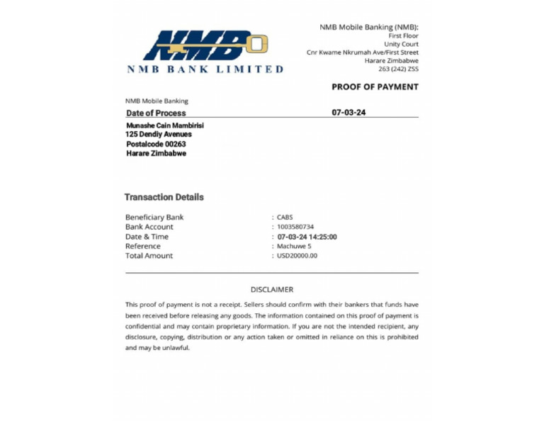 Munashe NMB Statement | PDF