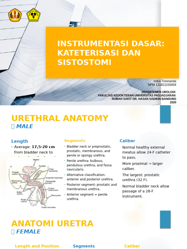 Instrumentasi Dasar, Kateter Dan Sistostomi-It | PDF