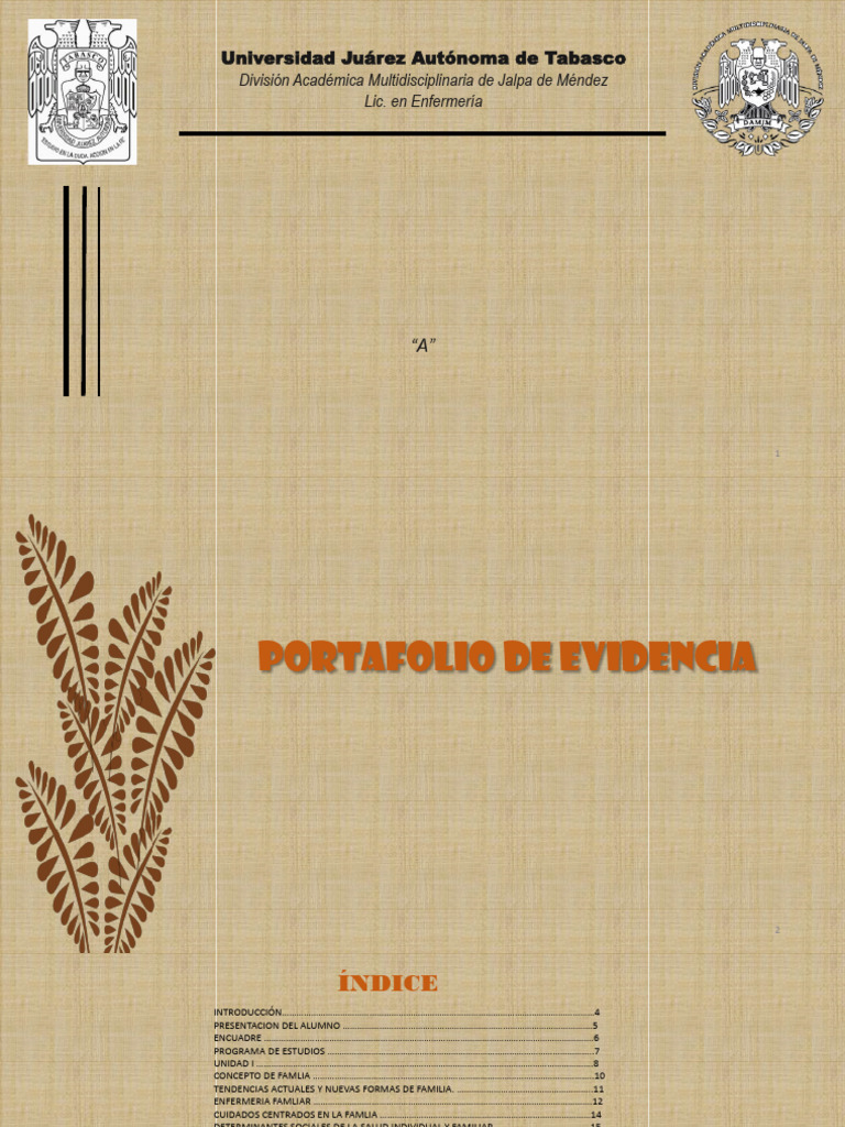 Portafolio Evidencia Lizbeth Gomez | PDF