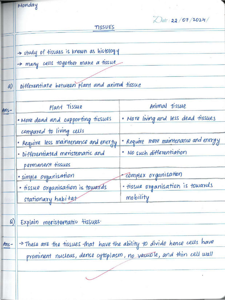 Tissues. Notes | PDF