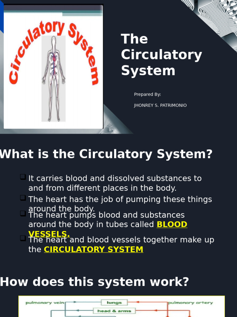 The Circulatory System | PDF