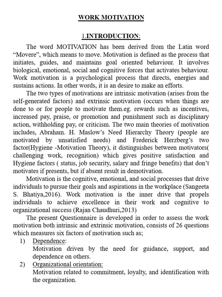 Work Motivation Questionnaire Manual | PDF