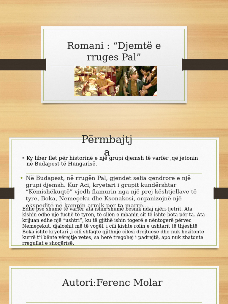 Analize e Romanit Djemte e Rruges Pal | PDF