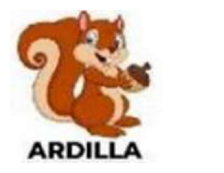 ardilla | PDF