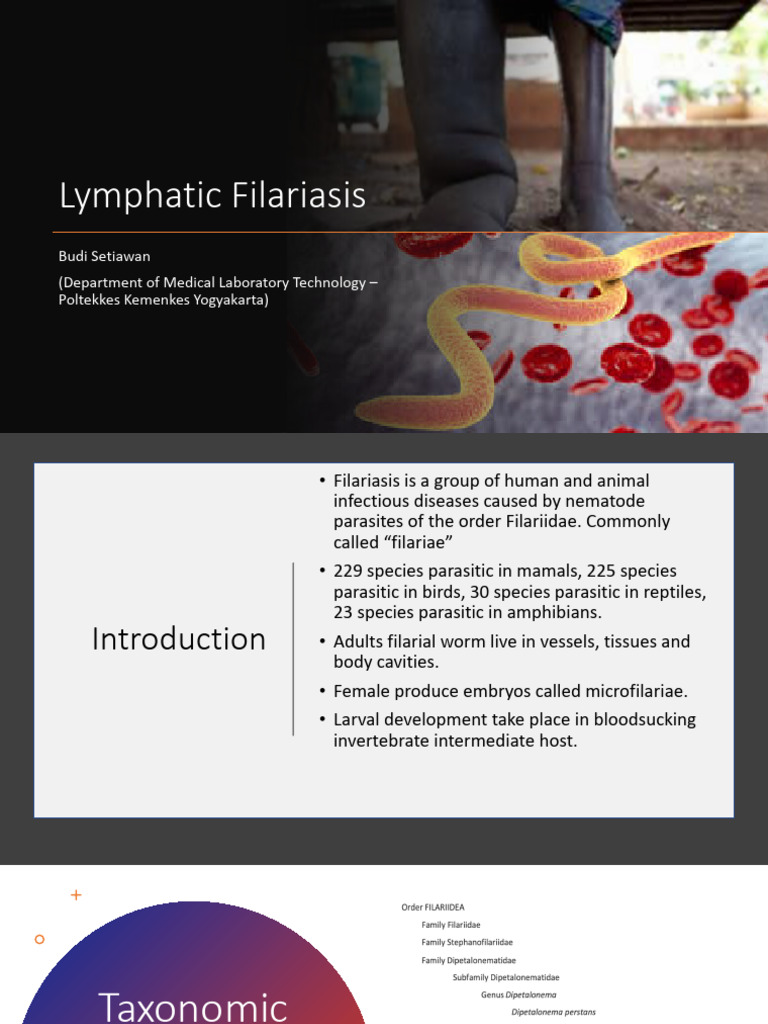 Filariasis Teori | PDF