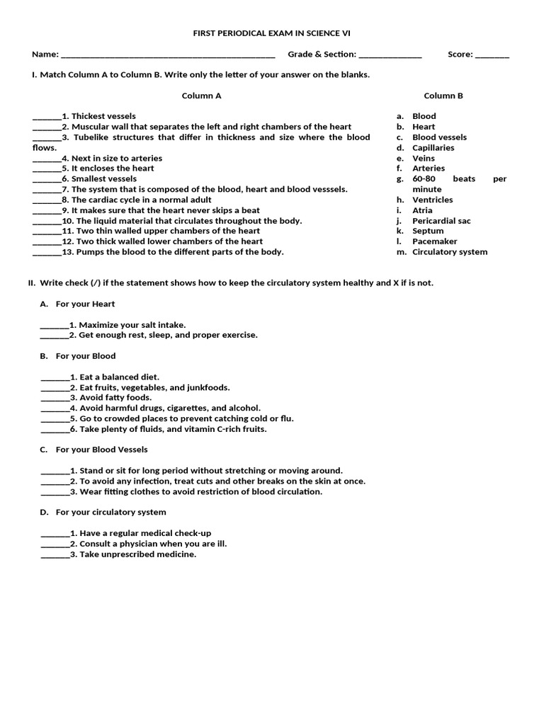 First Periodical Exam in Science Vi | PDF
