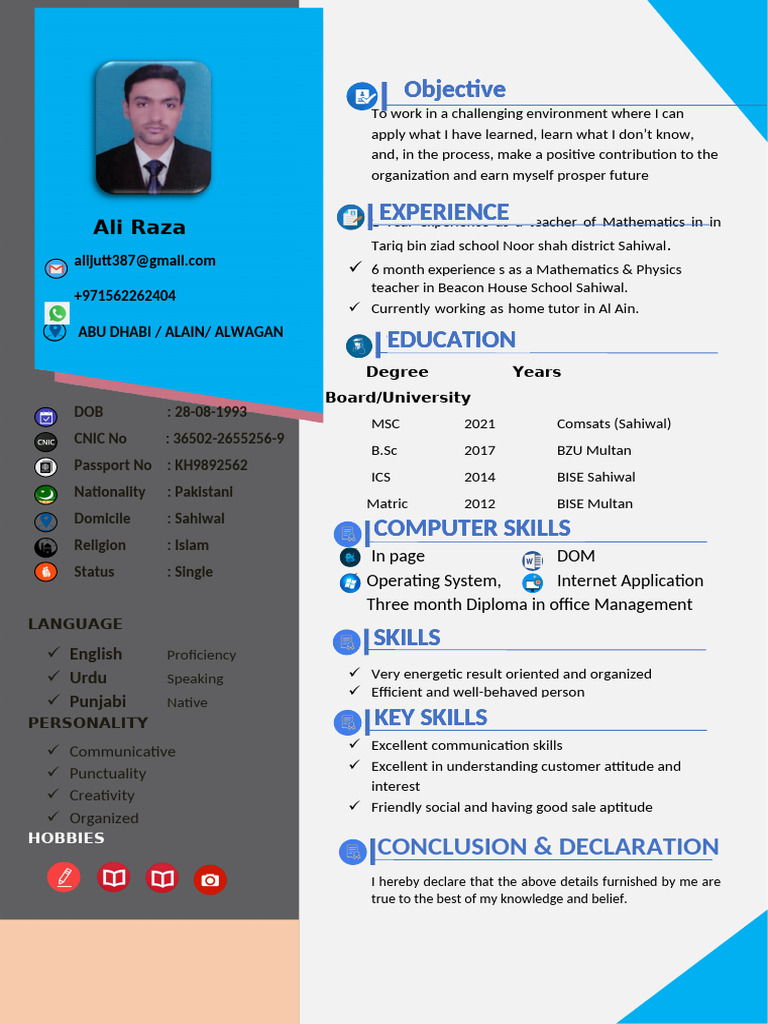 Ali RAza Woed CV | PDF