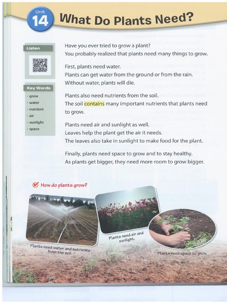 AST EASY 1 Unit 14 | PDF