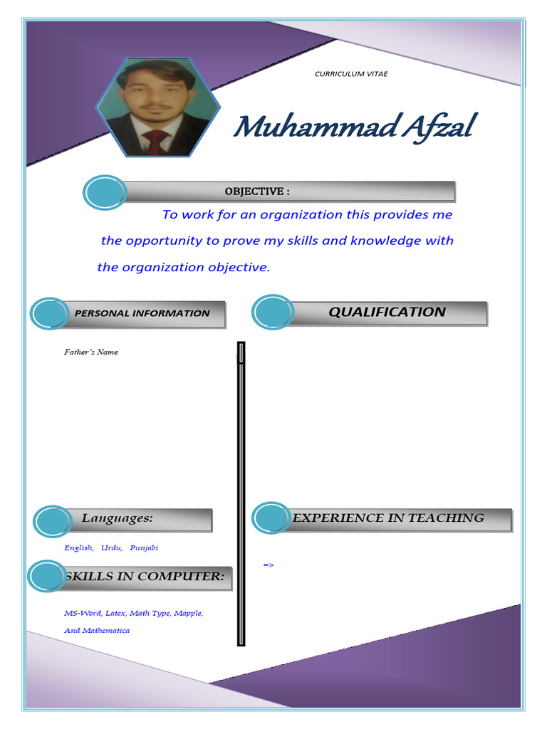 CV M Afzal | PDF