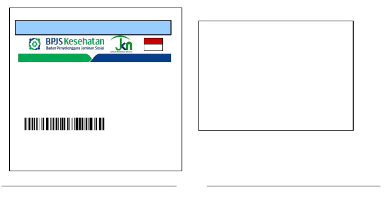 FORMAT BPJS KESEHATAN | PDF