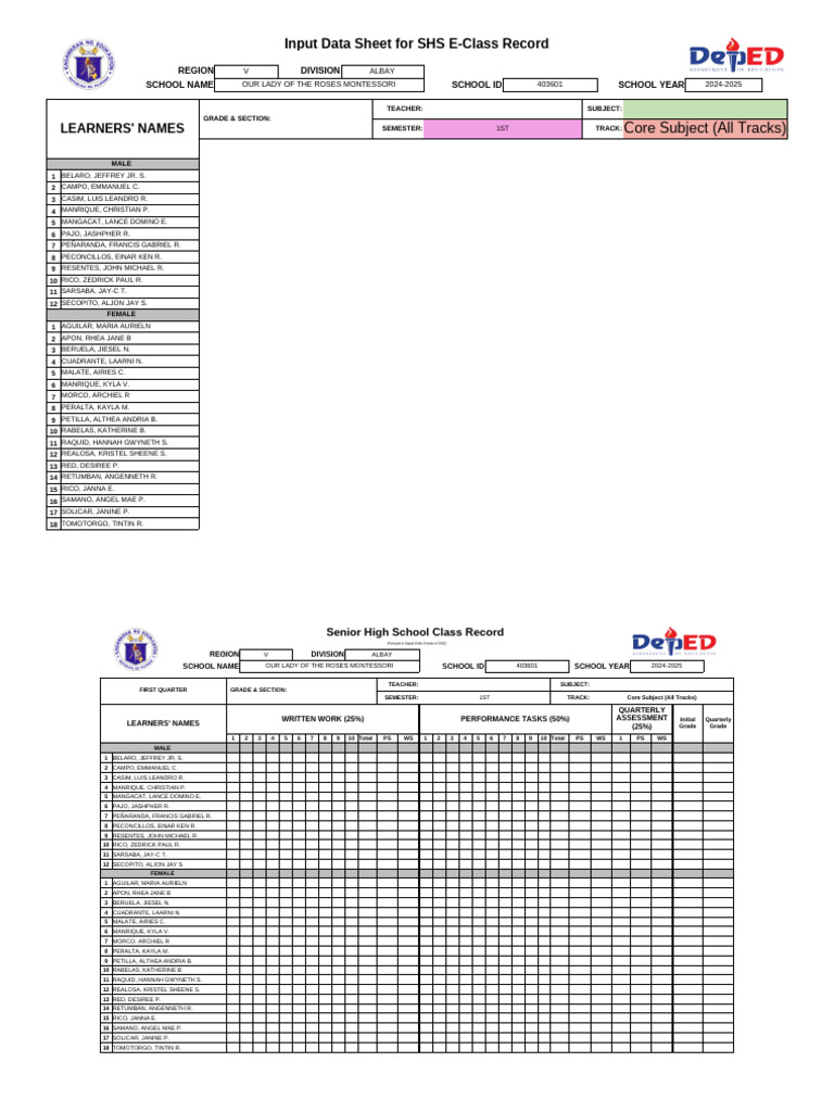 SHS GAS 12 EClassRecord | PDF