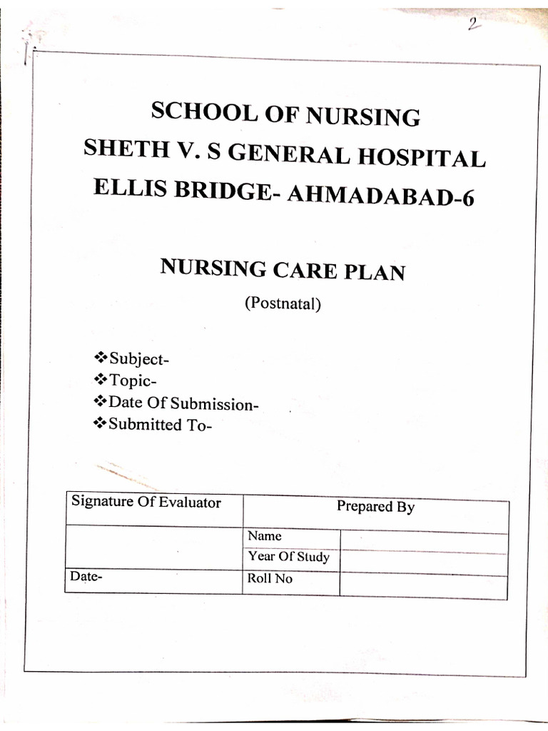 Nursing Care Plan (Postnatal) | PDF