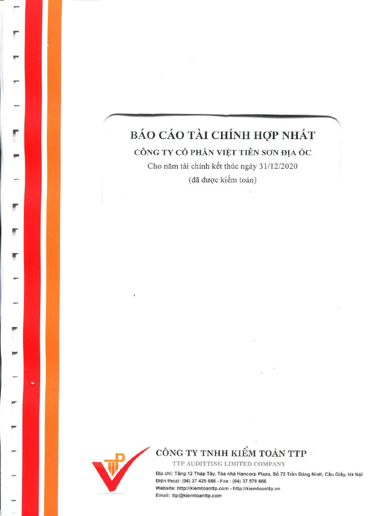 Bao Cao Tai Chinh Hop Nhat Nam 2020 | PDF