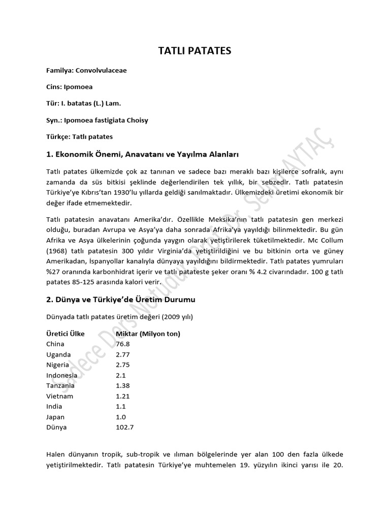Tatlı Patates 2020 | PDF